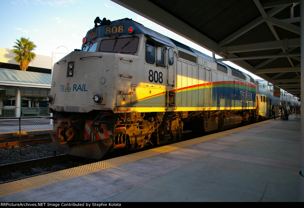 TRCX 808 MORNING SUN LITE